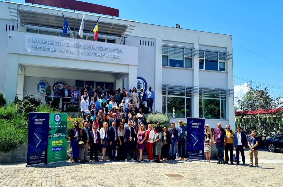 International educational projects